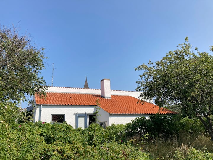 Hyggeligt Byhus Ved Gågaden - Skagen