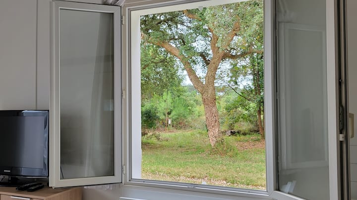 Grand Studio 35 M2, Plage, Forêt - Boucau