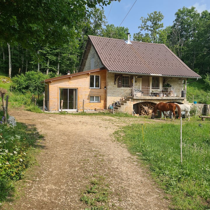 Annexe De La Fruitière - Les Plans d'Hotonnes