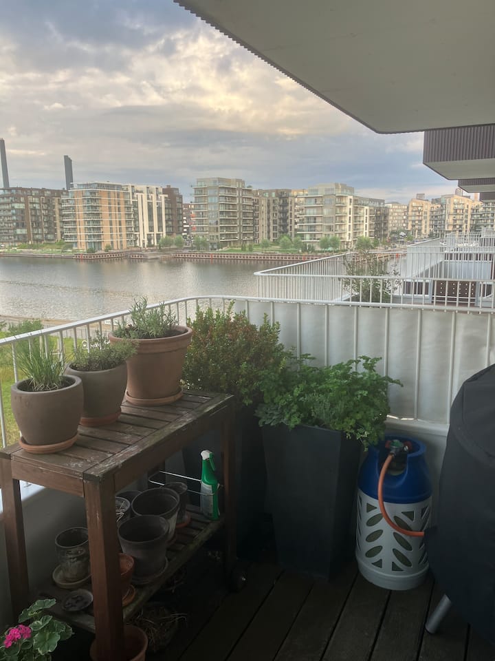 Islands Brygge - Copenhagen