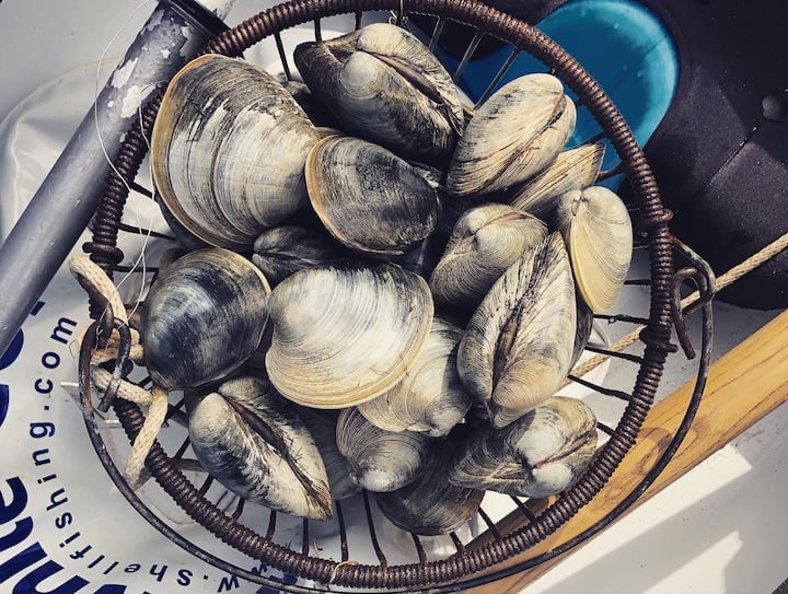 Charming & Cozy Cape Beach House - Falmouth, MA