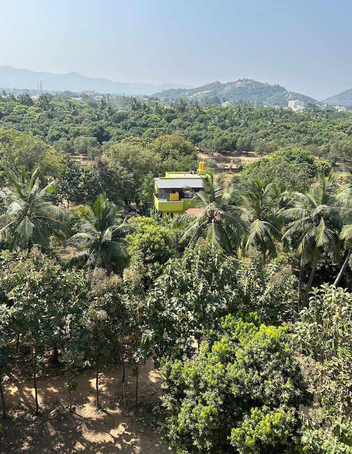 Thanapalli Farm House - Tirupati