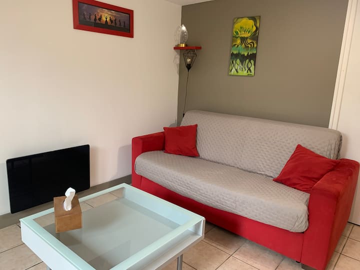 Joli Et Agréable T2 En Rez De Jardin Au Calme - Le Bouscat