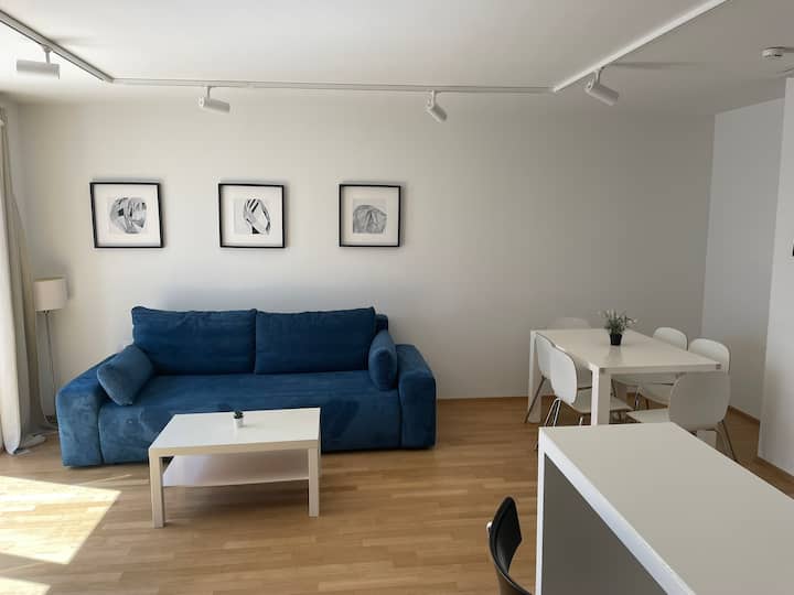 Easy-flat Pilgramgasse - 70 Sqm Family-apt. 42 A/c - Wien