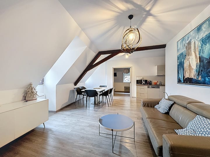 L'ill Apart 5 Pièces 130 M2 Vue Sur L'ill - Strasbourg