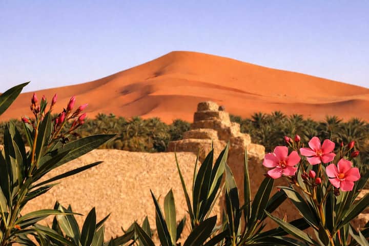La Vallée Des Dunes - Chambre Double Ou Twin - Merzouga