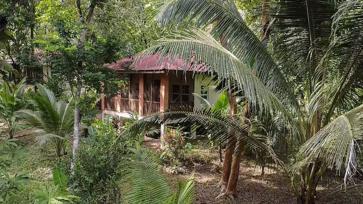 Family Cottage W/ 3beds, Ac & Car Rental Onsite - Belize