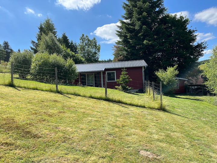 Wo Sich Hase Und Fuchs... - Hilchenbach