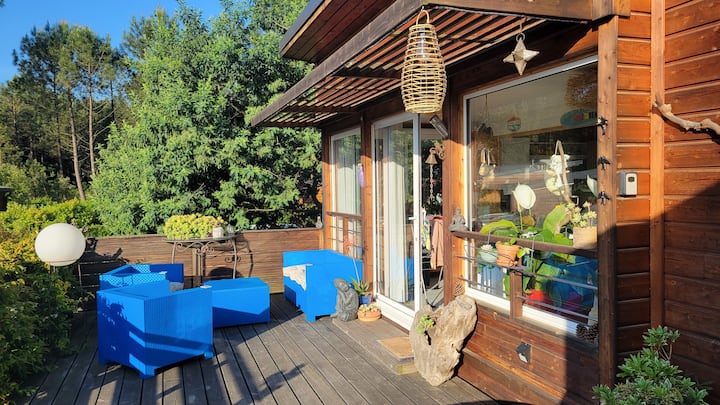 Chalet Tout Confort Avec Spa Privatif - Landes
