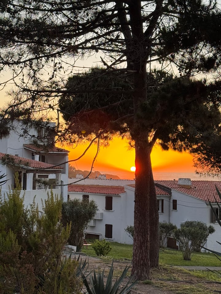 Appartement 4 Pers  Face Mer - Calcatoggio