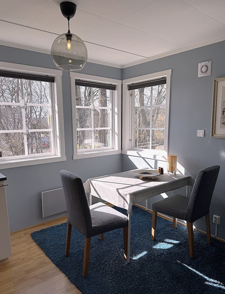Modern And Cosy Studio Apartment - Oslo
