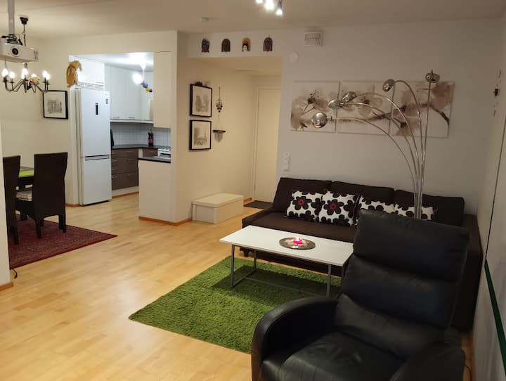 Comfortable Apartment Near City Center Of Helsinki - Helsinki