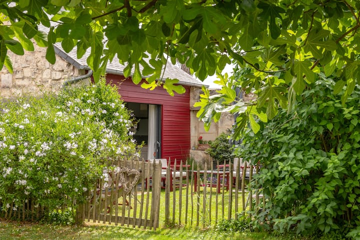 Sous Le Figuier (Gîte De 2 à 3 Pers) - Saumur