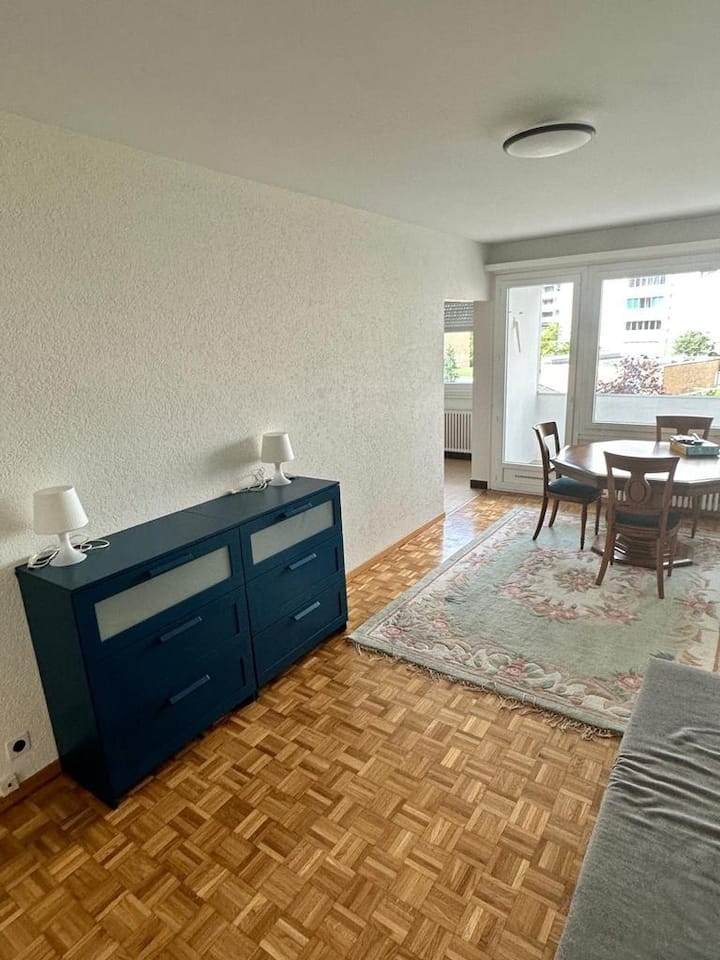 Genève, 3 P, Meublé Avec Balcon. - Geneva