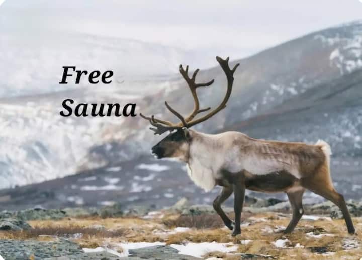 Rune's Ministudio . 
Wc,shower, Kitchen. - Norrbottens län