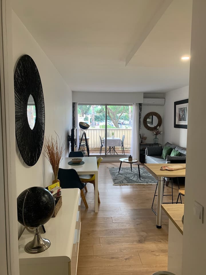 Charmant Studio De 40m2 Disposant D'un Coin Nuit - La Capte