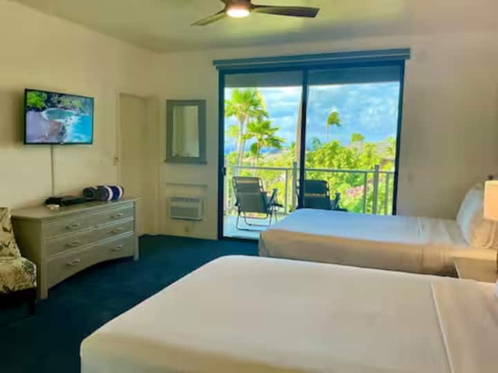 Wailea Ocean View Studio - Maui, HI