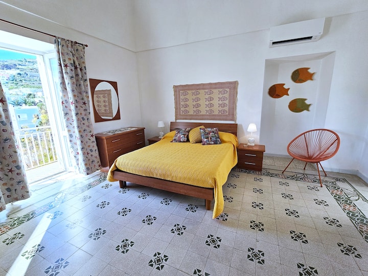 Spugna Marina- Marideaponza - Ponza