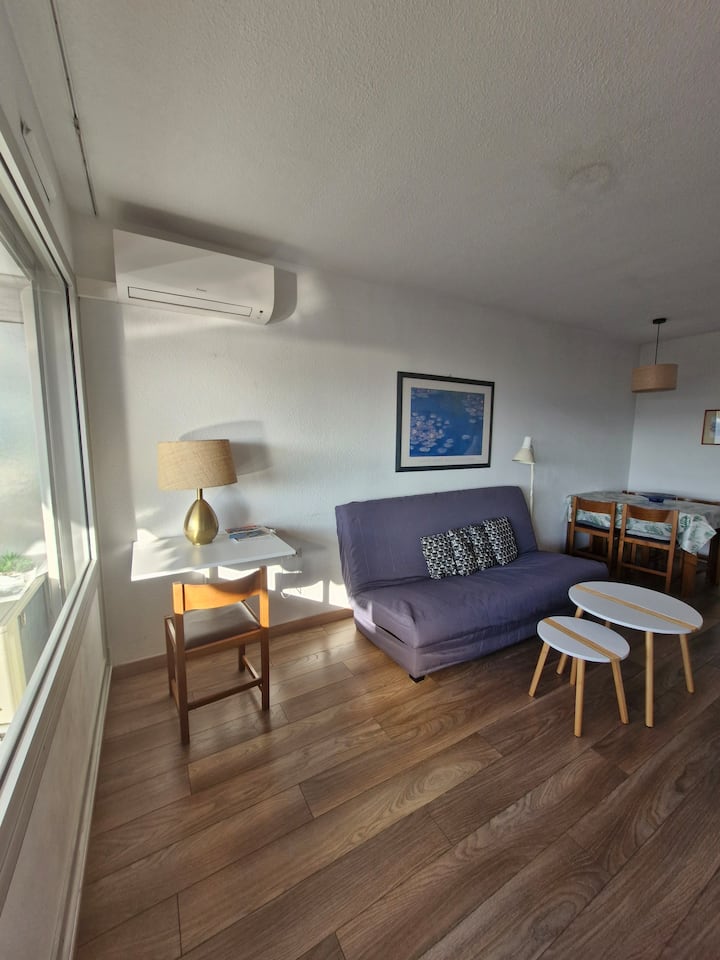 Eine Helle Und Geräumige Wohnung Mit Pool - Antibes