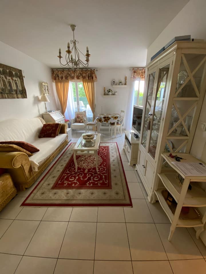 Charming 1bd Flat With Terrace, 500m From Geneva - Saint-Julien-en-Genevois