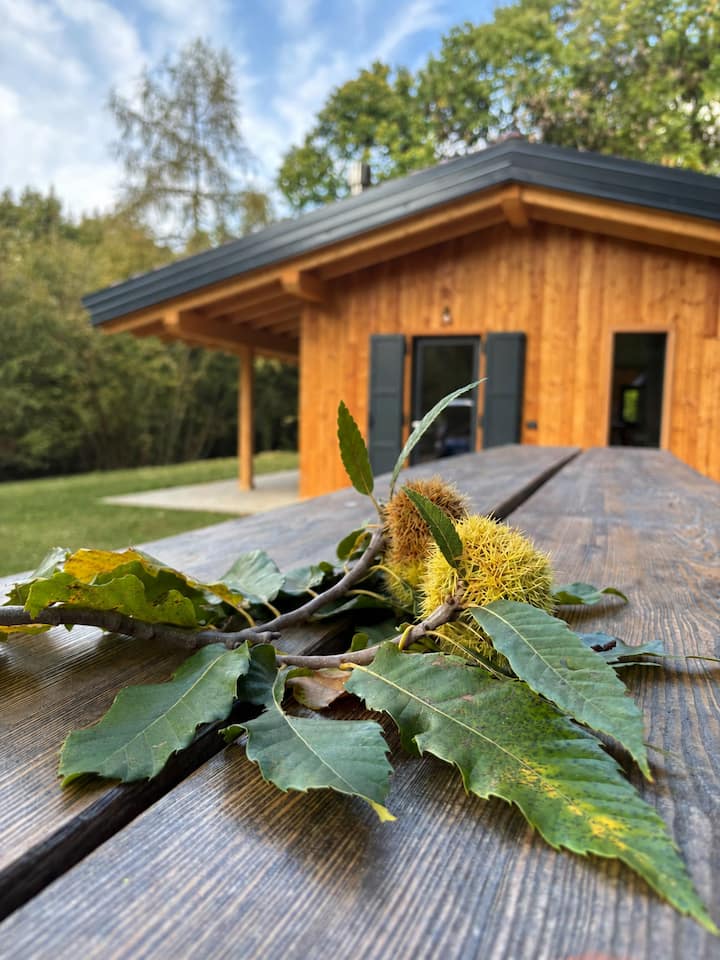 Chalet Lago Di Garda - La Casina Nel Bosco - Lake Garda