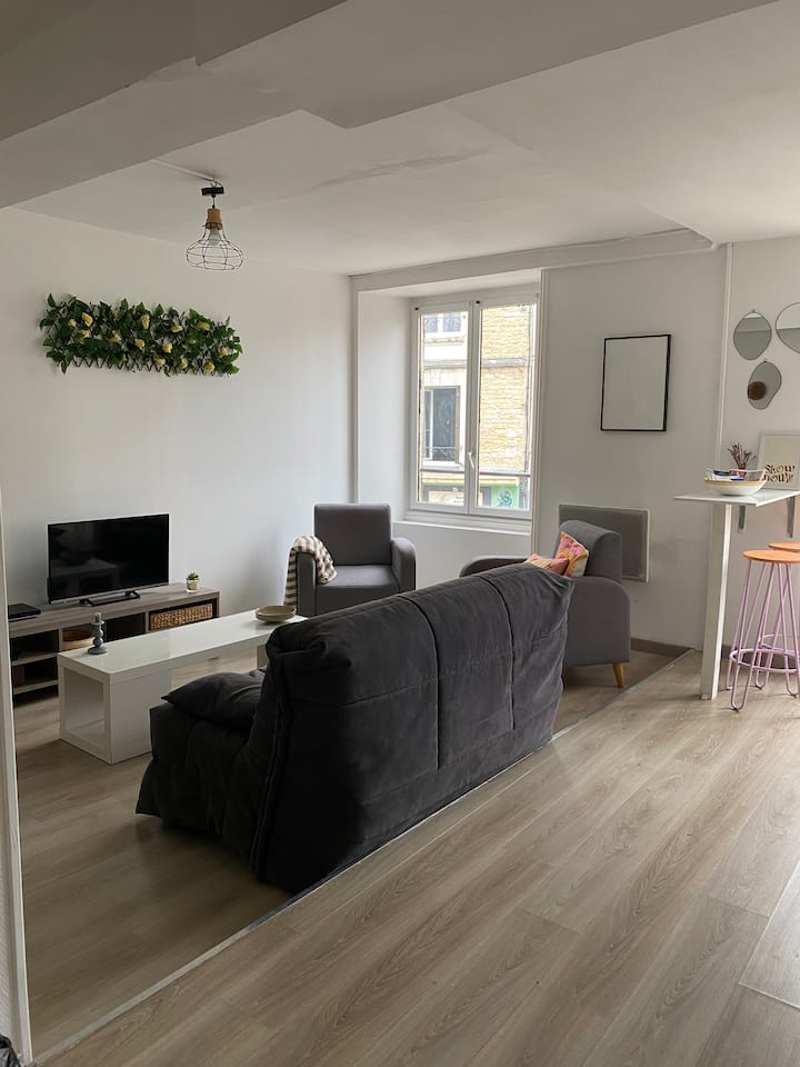 Appartement Plein Centre Ville - Haute-Marne