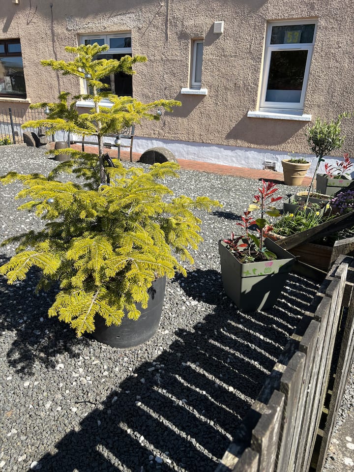 No 53 Modern Flat With All Essentials Provided - Ayrshire
