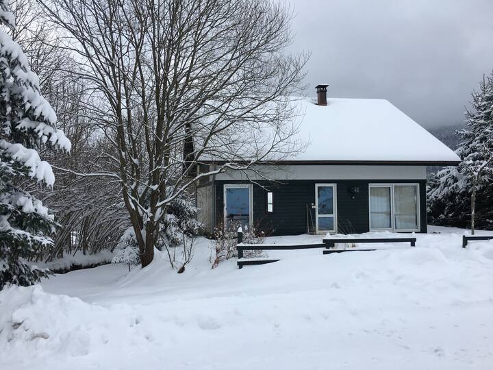 Chalet Style Cottage Cosy - Gérardmer