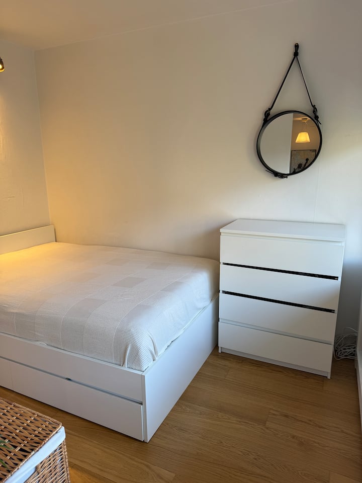 Lys Og Hyggelig Lejlighed - Copenaghen