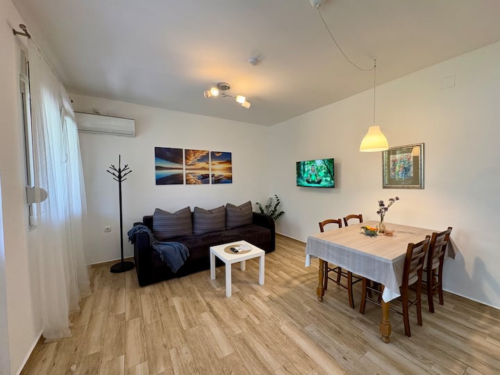 Dana Apartment In Family House Near City Center - Montenegro