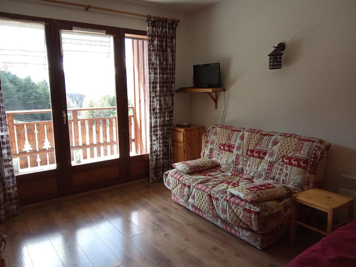 Studio Skis Aux Pieds - La Joue du Loup