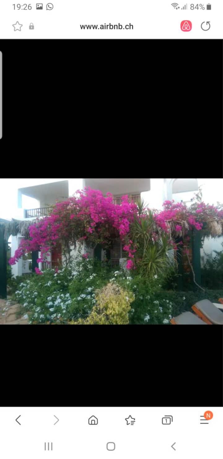 3 Rooms Apartment In Delta Sharm - Sharm El-Sheikh