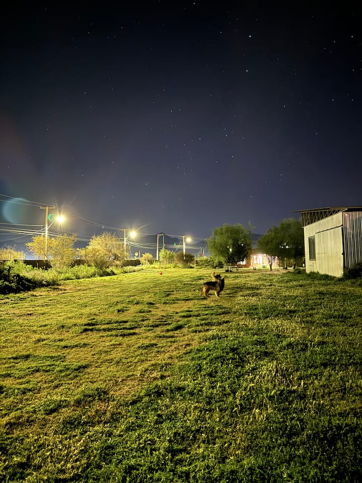 Casa En Parcela De 5.000 M2 - Curacavi