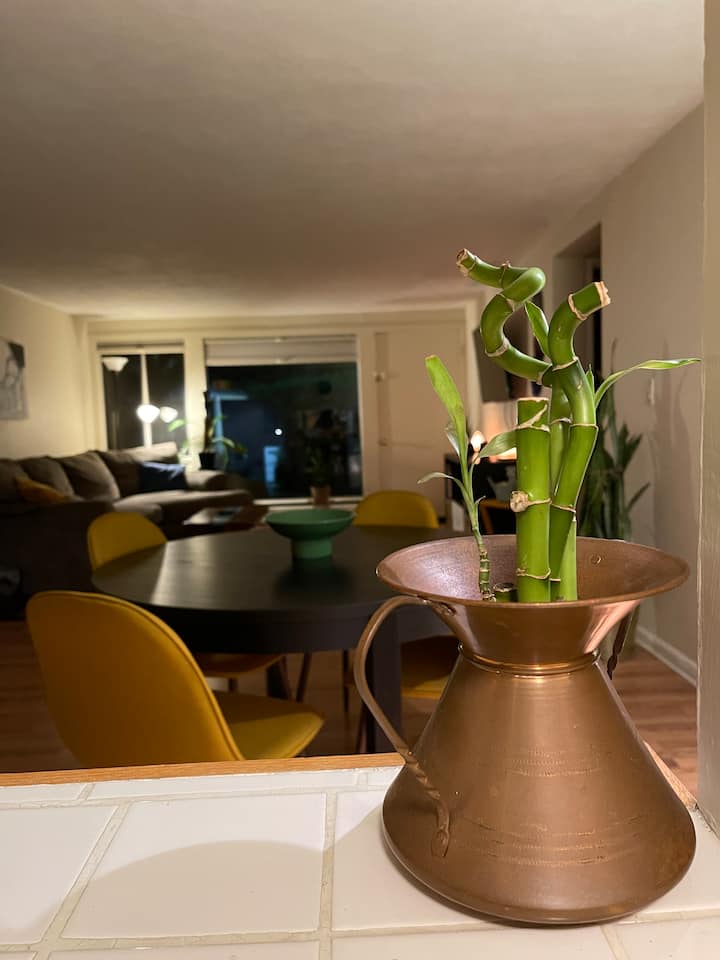 The Plant Haus - Norwood, MA