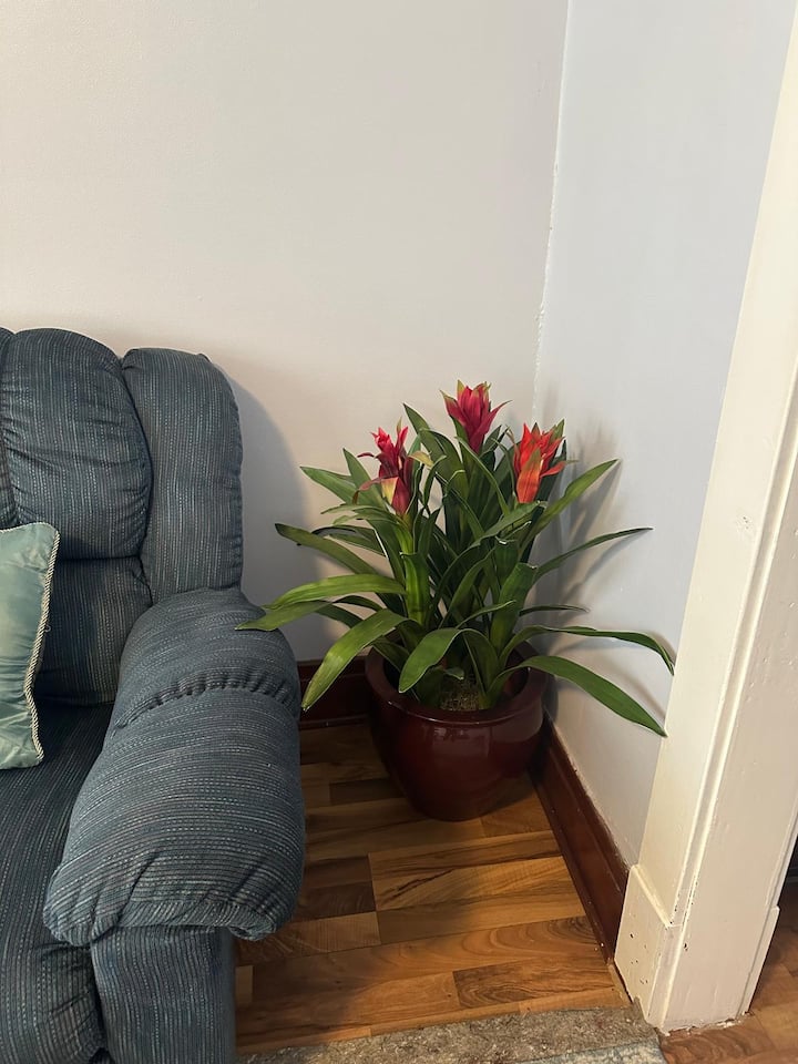 Airbnb At American Falls - Niagara Falls