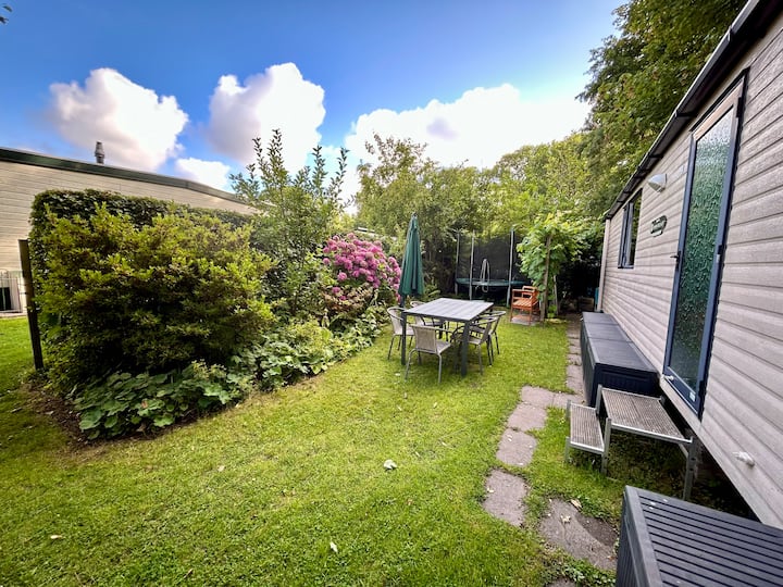 Chalet In Het Bos Op Leuke Camping Met Zwembad - Den Haag