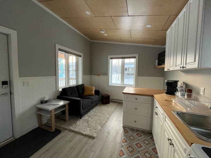 The Chickadee - Dawson City