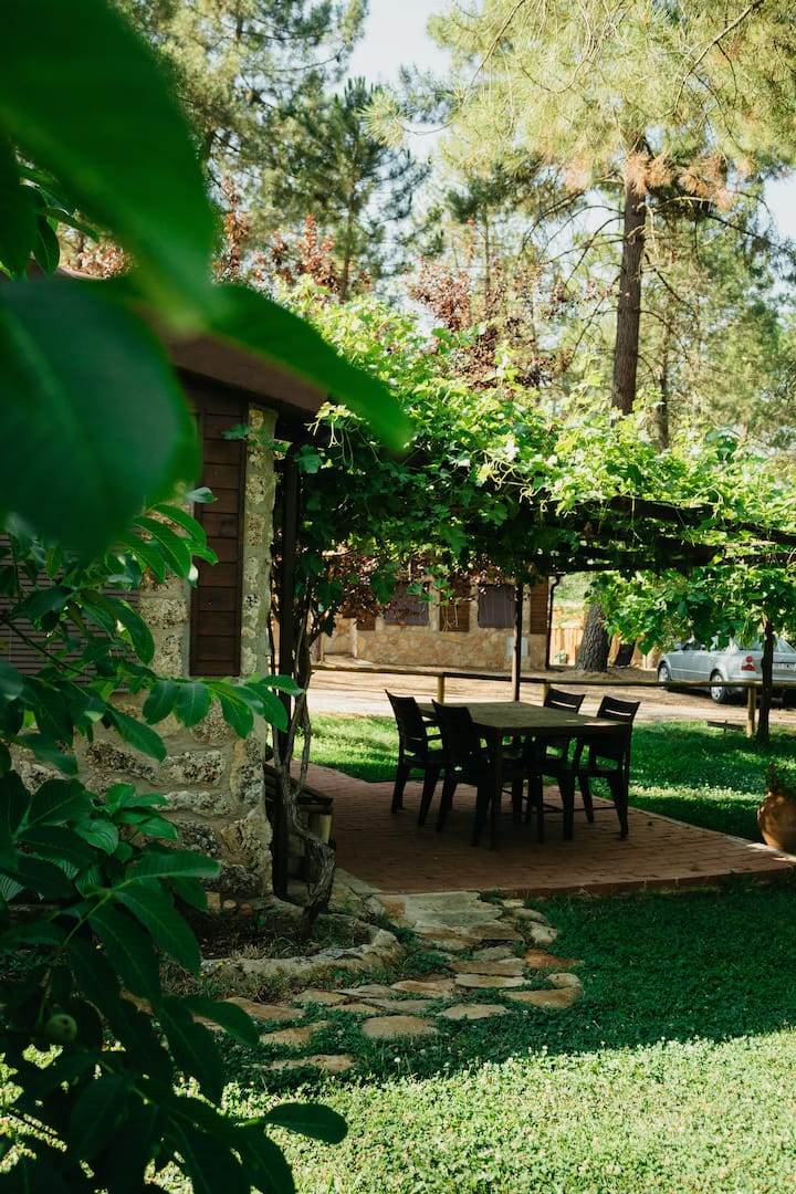 Cabaña Finca El Lagunazo - Riópar