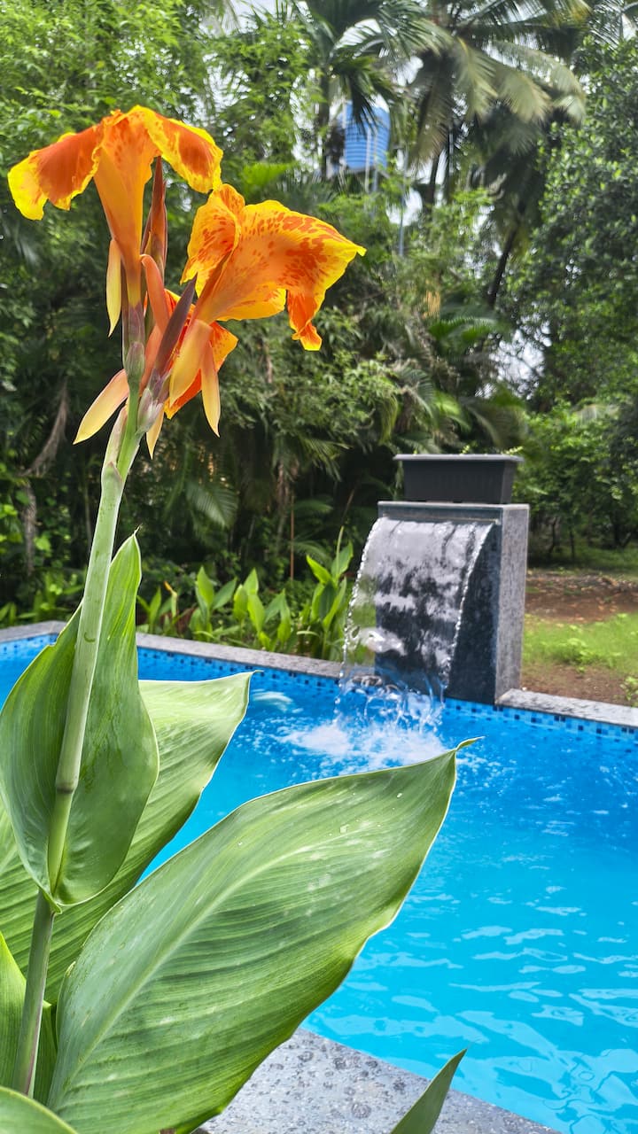 Joyful Stays - A Home Away From Home - Alibag