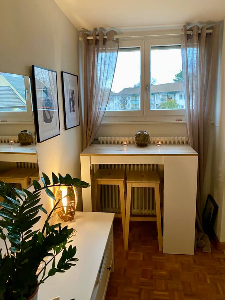 The Most Cozy, Central, And Comfortable - Bázel