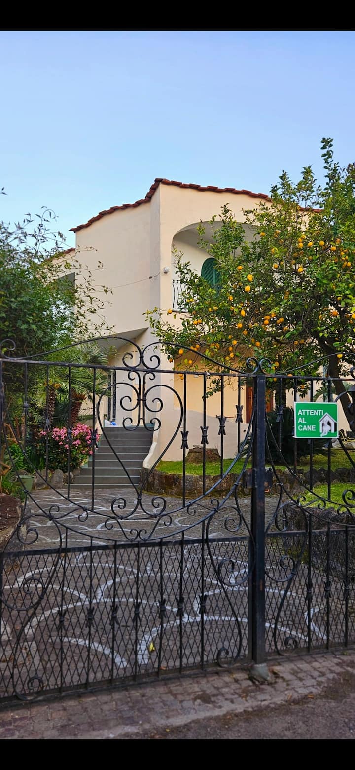 Villa Ginevra - Ischia