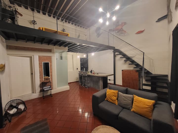 Loft Industrial Cerca Del Centro Y Hospitales - San Luis Potosí