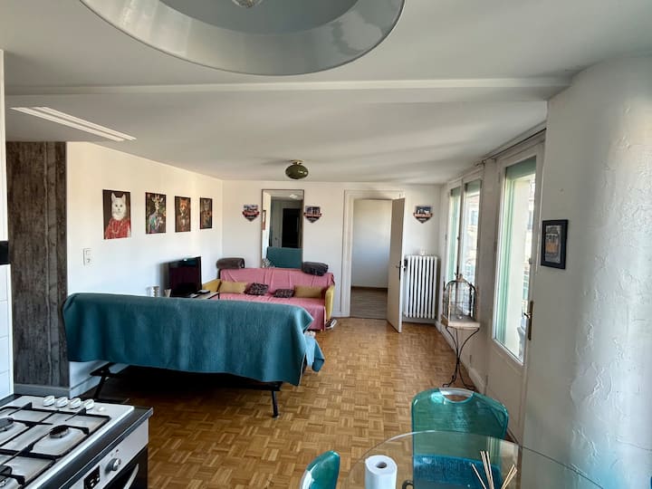 Agréable T2 Au Cœur Du Centre-ville - Oyonnax