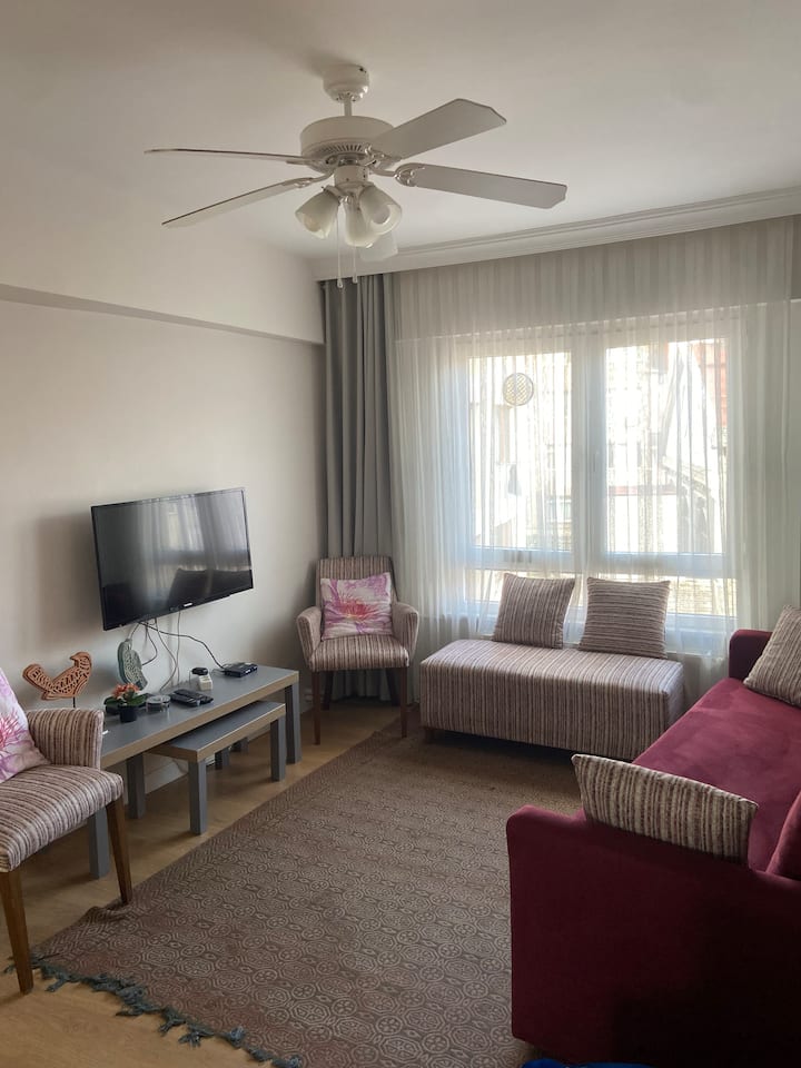 .Unique 4bdr,2 Bths,4 Ac In The Heart Of Taksim - Beyoğlu