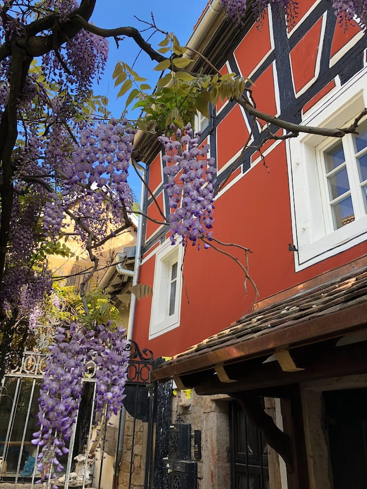 Wohnen In Der Quetschekuchestubb - Deidesheim