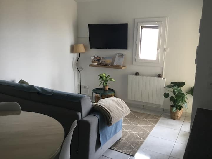 Appartement T3 Climatisé Avec Vue Sur Mer - Fleury