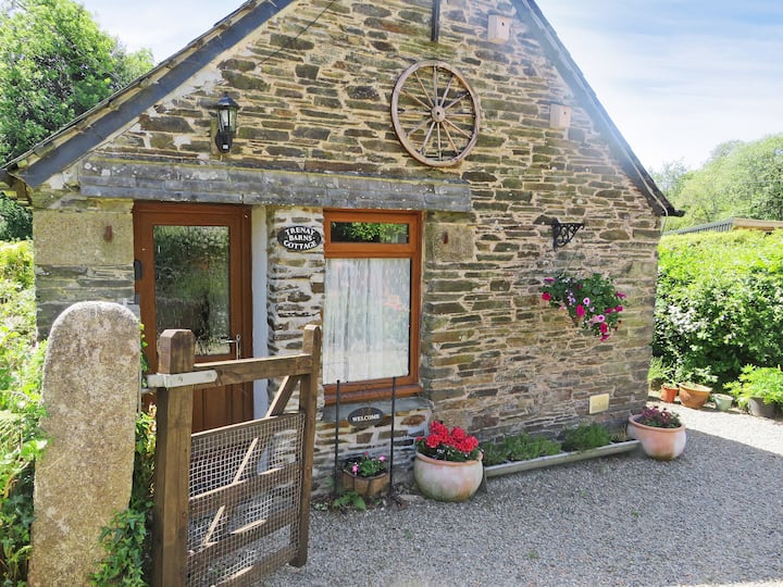 Trenay Barns Cottage - Devon