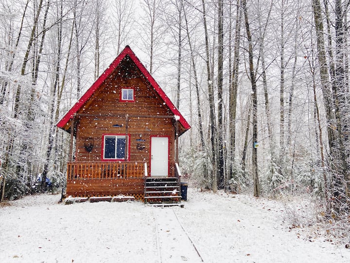 Coho Cabin: Walking Distance To Downtown! - Alaska
