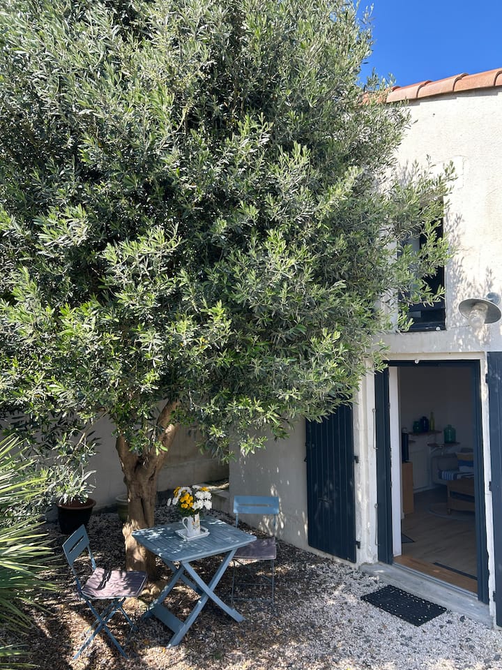 Charmante Maison Au Calme, Cour Arborée Privative - La Rochelle