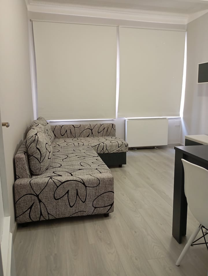 Vivienda De Uso Turístico 09/84  Centro De Burgos - Burgos